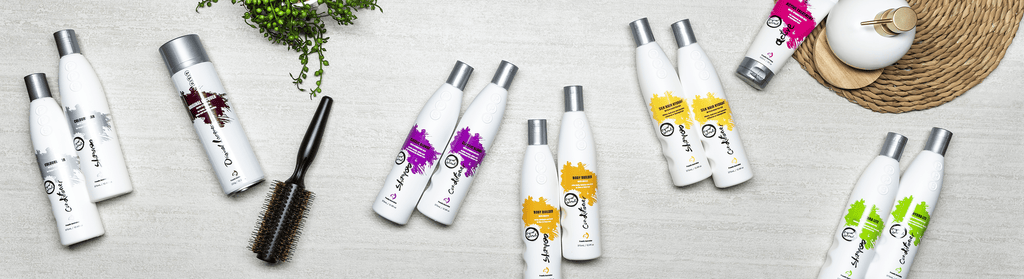 Everything you need to know about PPS | Price Attack